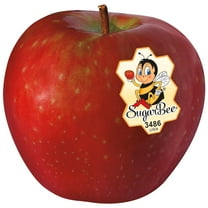 Fresh Red Delicious Apple, Each - Walmart.com