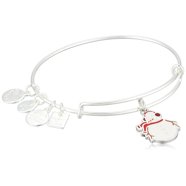 Alex And Ani Initial J Charm Rafaelian Silver Finish Bangle Bracelet A13EB14JS - Walmart.com