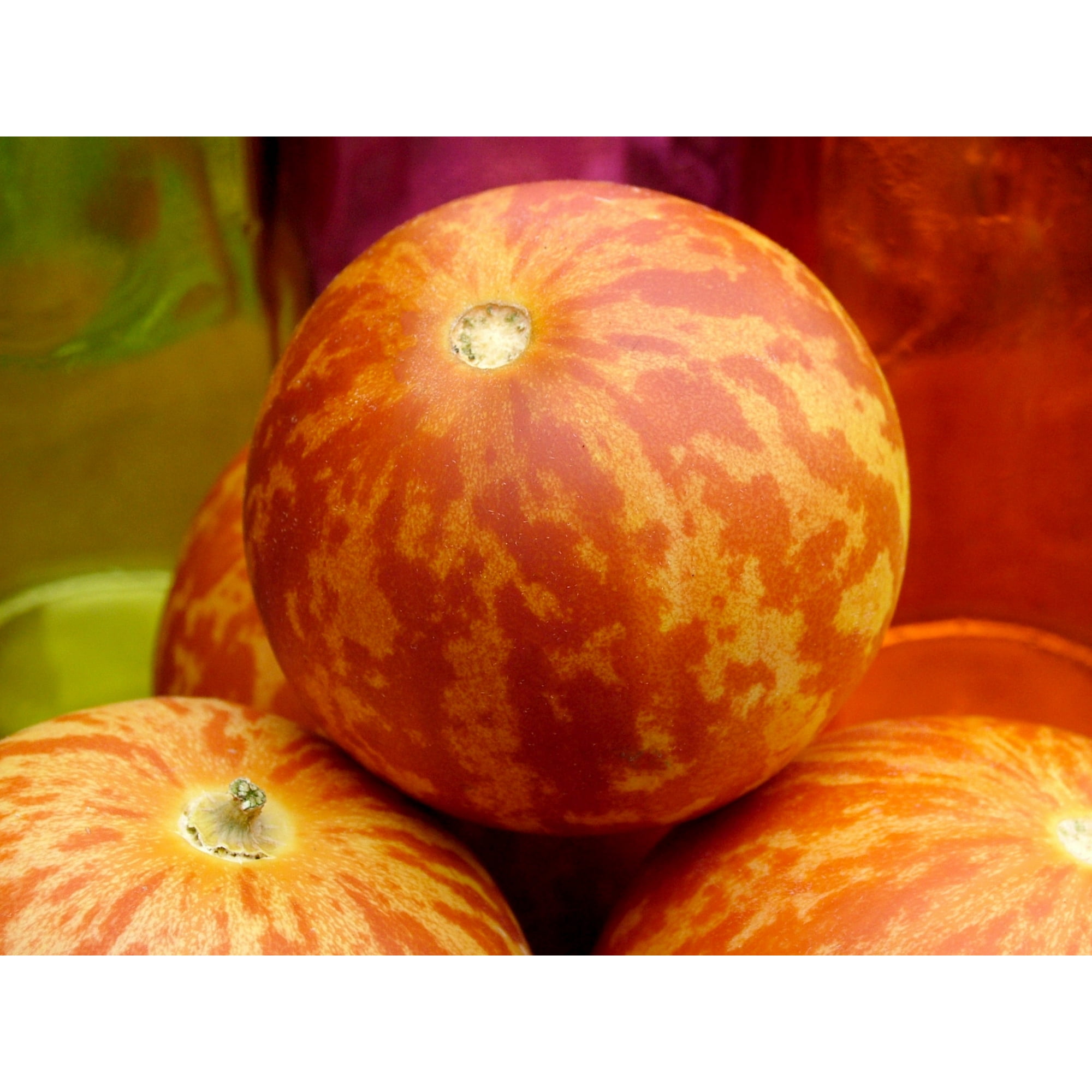 Click here for Seedville Usa 15 Tigger / Tiger Melon Edible Muskm... prices