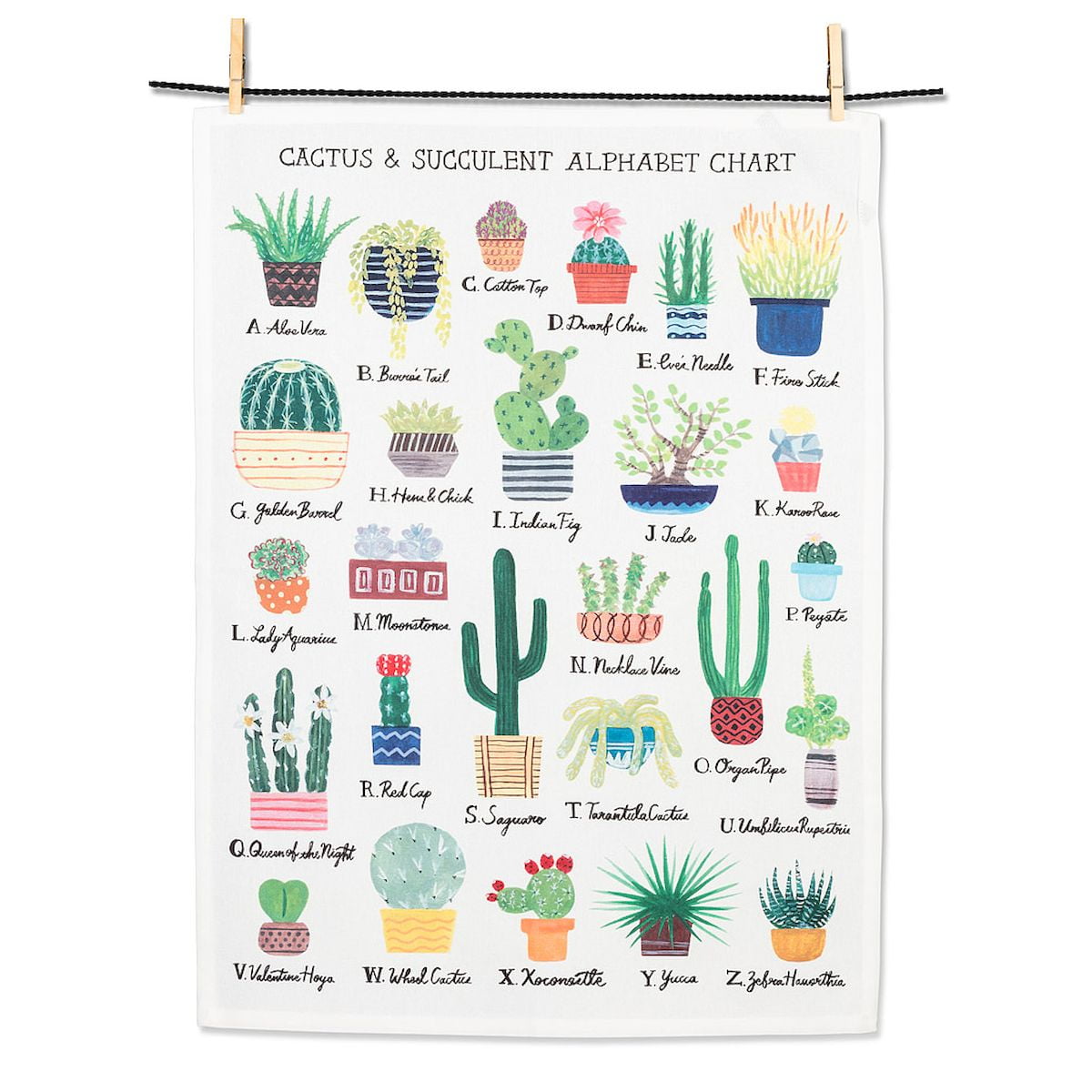 Set of 6 Cactus Alphabet Kitchen Towel - Walmart.com