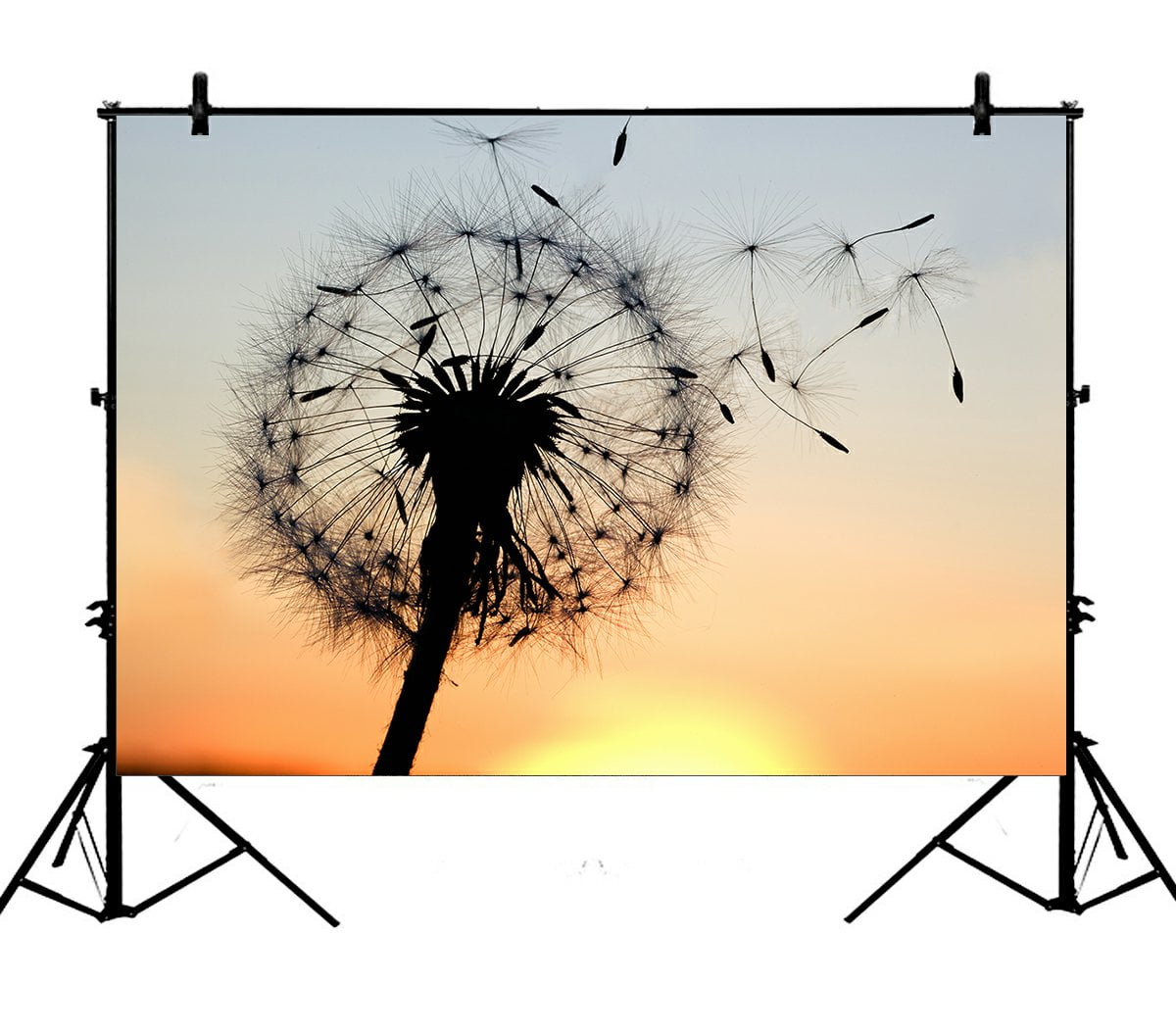 PHFZK 7x5ft Sunset Backdrops, A Dandelion Blowing Seeds in the Wind ...