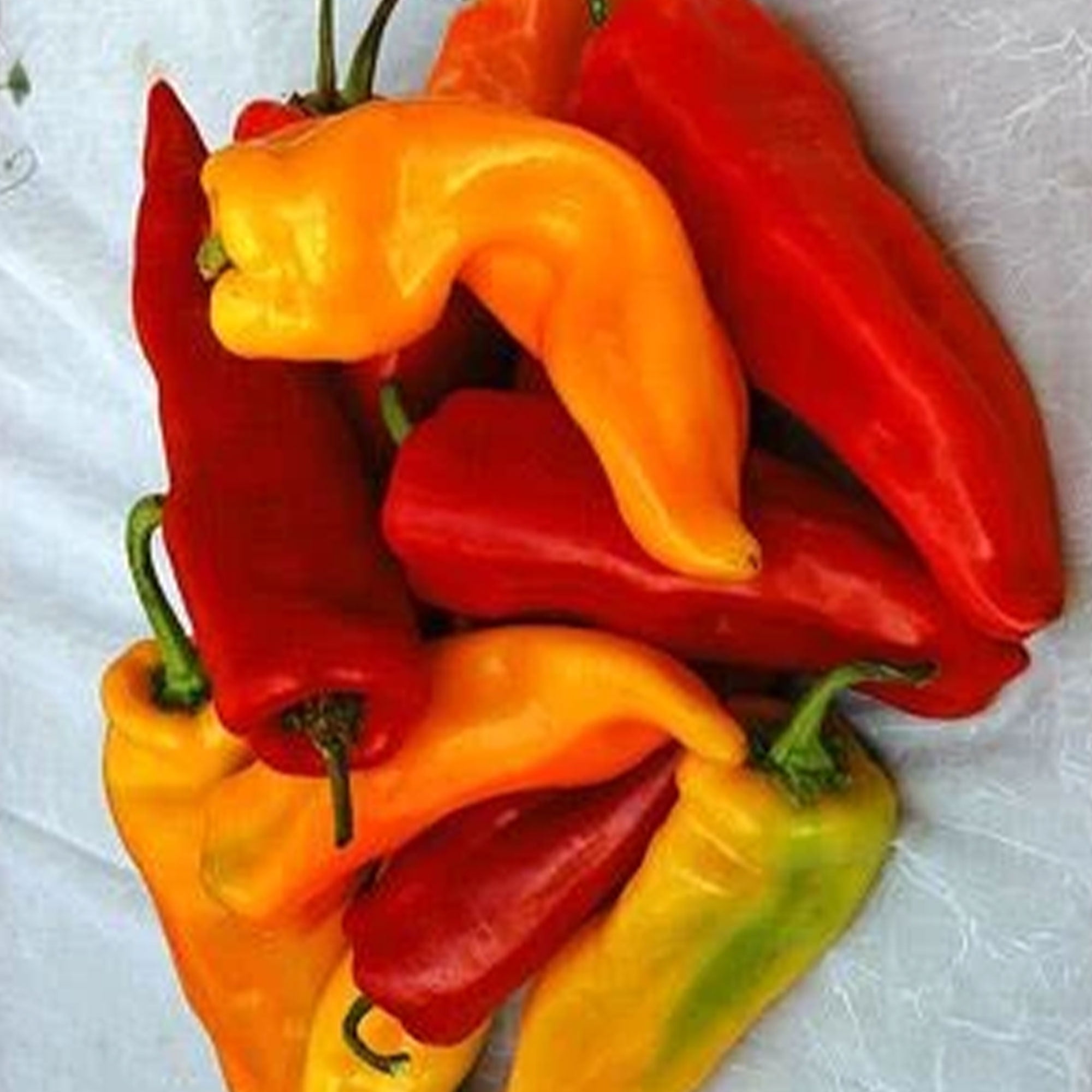 Organic Sweet Sunset Italian Pepper Mix - 250 Mg Packet ~30-40 Seeds ...