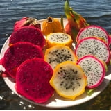 250 Dragon Seeds Mix Pitahaya Rare varieties pitaya Easily Grow ...