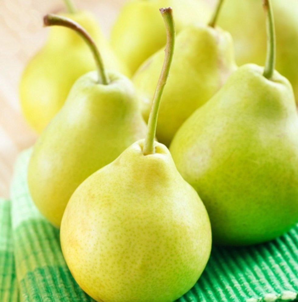 Pear - Walmart.com