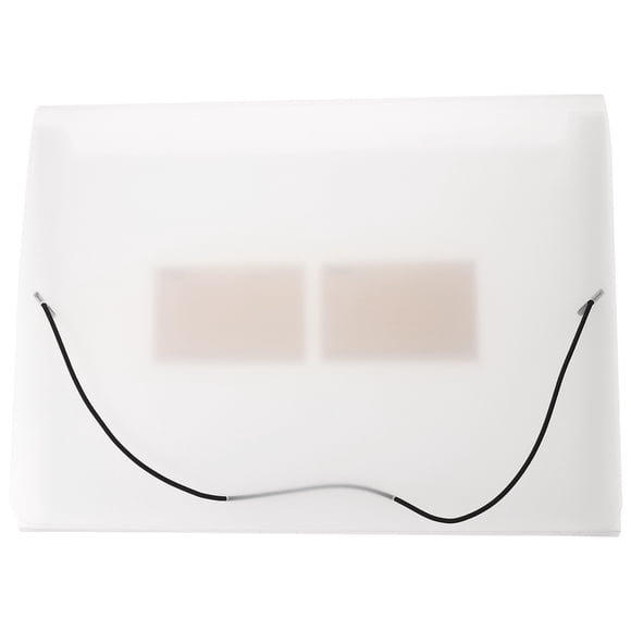 Alphabetical File Organizer