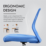 Find Your Perfect Smile Mart Adjustable Armless Mesh Office Chair for ...