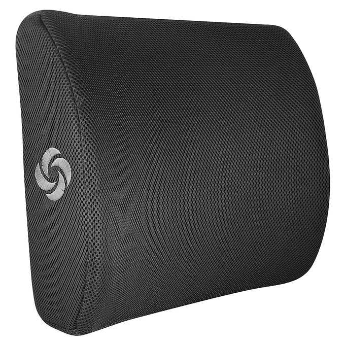 Samsonite Lumbar Support Cushion, 2-pack | Walmart Canada