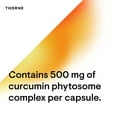 Thorne Curcumin Phytosome 1000 mg Supports Healthy Inflammatory ...