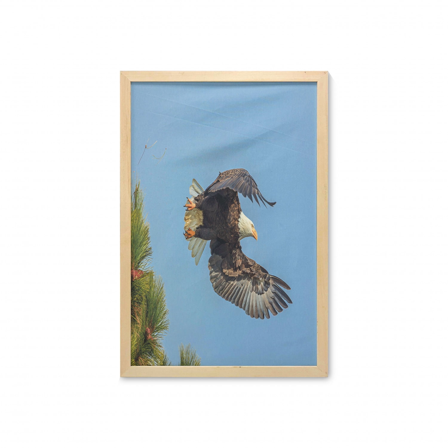 Idaho Wall Art with Frame, American Bald Eagle Coeur d'Alene Wildlife ...