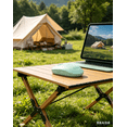 2.4G Wireless Slim Mouse, Quiet Clicks Portable Computer Mouse with USB ...