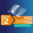 NicoDerm CQ, Step 2, Clear Patches, 14 mg, 14 Count, Smoking Cessation ...