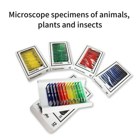 48pcs Complete Microscope Slides Insect Specimens Animals Biology ...