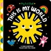 Baby Einstein: My First Feelings Mirror Book, (Board Book) - Walmart.com