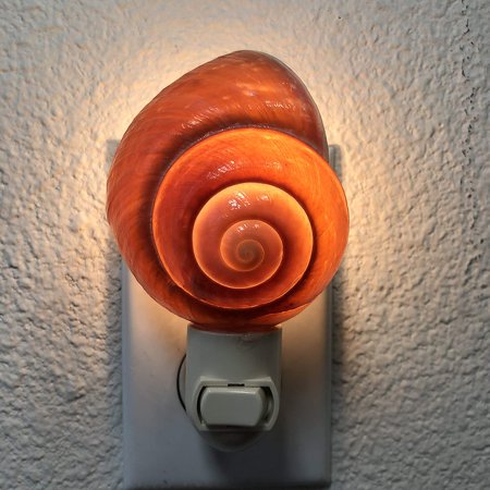 FYBTO Murex Ramosus Sea Shell Night Light Nautical Natural Seashell ...