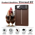 Eternal BT RUN-CHICKEN Door – Solar-Powered Automatic Coop Door with ...