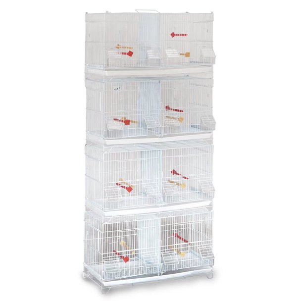 Set of 4 Stack & Lock Double Breeding Breeder Flight Bird Cages with ...
