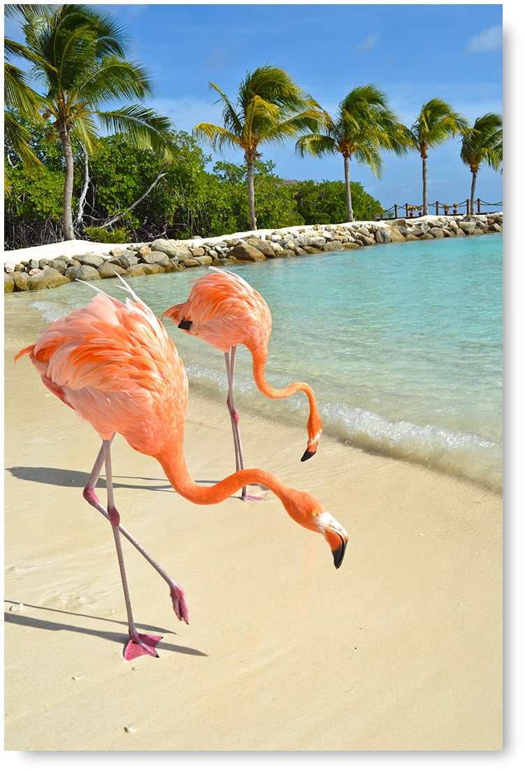 Awkward Styles Flamingo Poster Decor Ideas Pink Flamingos Illustration ...