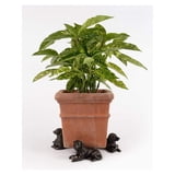 CintBllTer Resting Labrador Figures Plant Pot Feet Planter Riser - Pot ...
