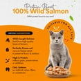 Chef Kitty Freeze Dried Cat and Dog Treats Wild Caught Salmon - 1.75oz ...