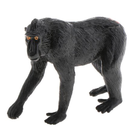 Static Animal Model Action Figure Toy for Kids Model for Kids Realistic ...