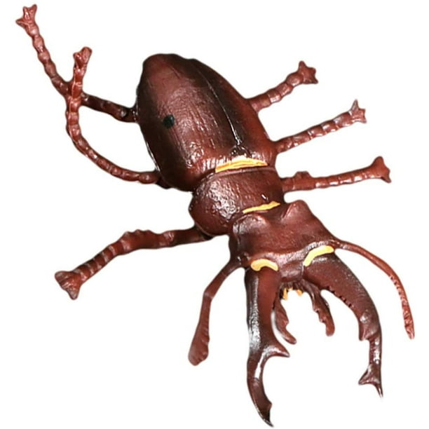 Beetle Growth Cycle Figurine Insect Growth Cycle Life Cycle of A Beetle ...