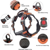 Astarin Adjustable Dog Harness, Orange Mesh, Reflective, XS, 2 Leash ...