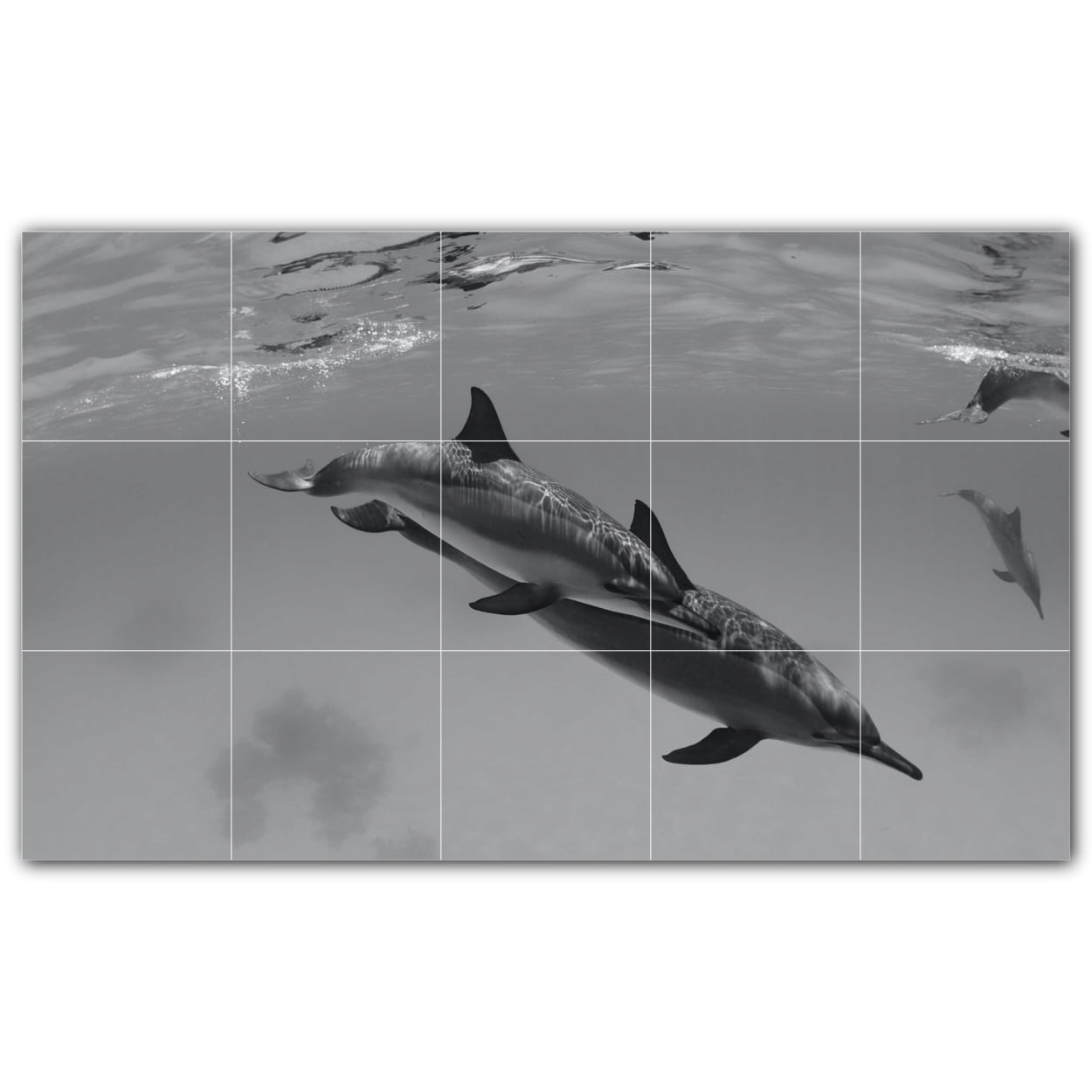 Picture-Tiles.com: Dolphin Ceramic Tile Wall Mural WAL500507-53XL. 60"W ...