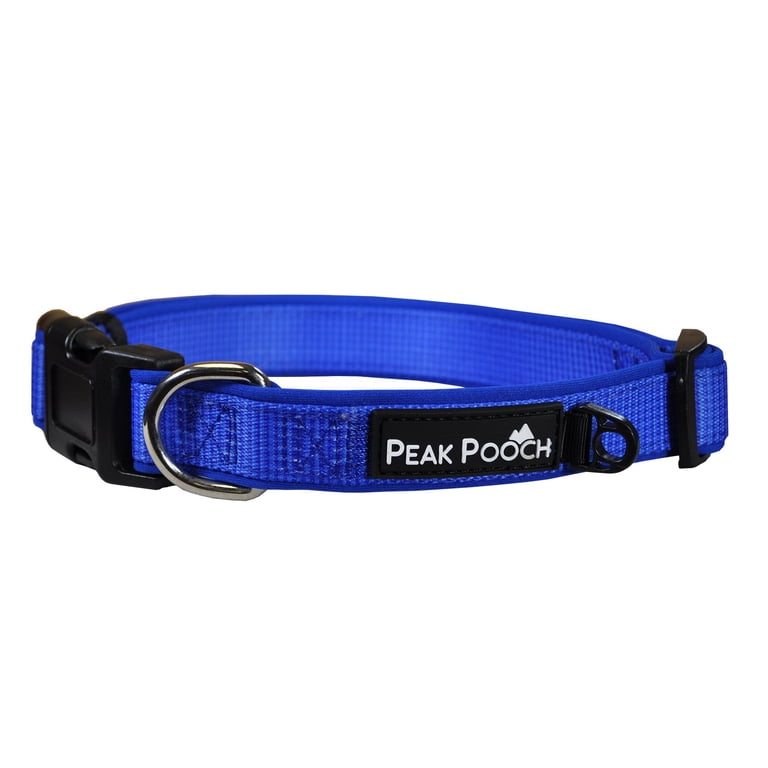 Designer Puppy Collars