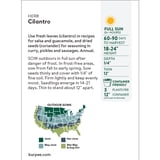 Burpee Cilantro Herb Seeds, Great for Salsa and Curry, Full Sun ...