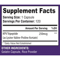 Physiopep KPV | 120 Capsules - Walmart.com