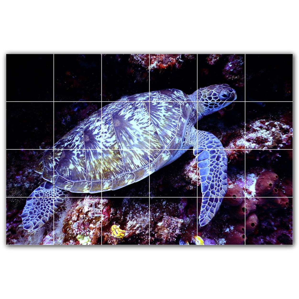Picture-Tiles.com: Turtle Ceramic Tile Wall Mural WAL501077-64L. 48"W x ...