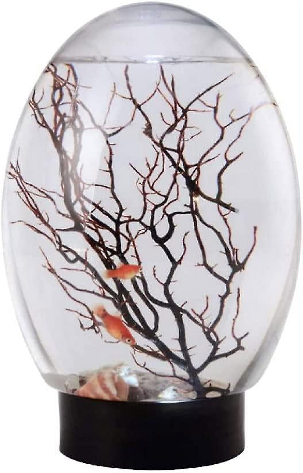 Mini pecera Ecosphere Ecosistema acuático cerrado Acuario de escritorio ...