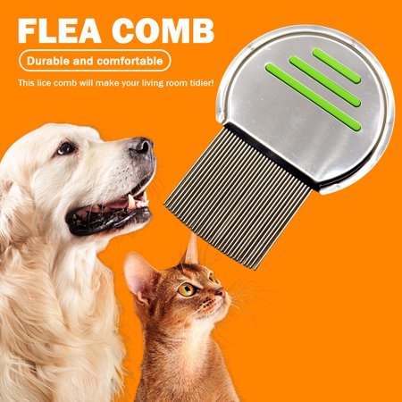 Coiry Stainless Steel Nit Free Terminator Comb with Rounded Tips ...