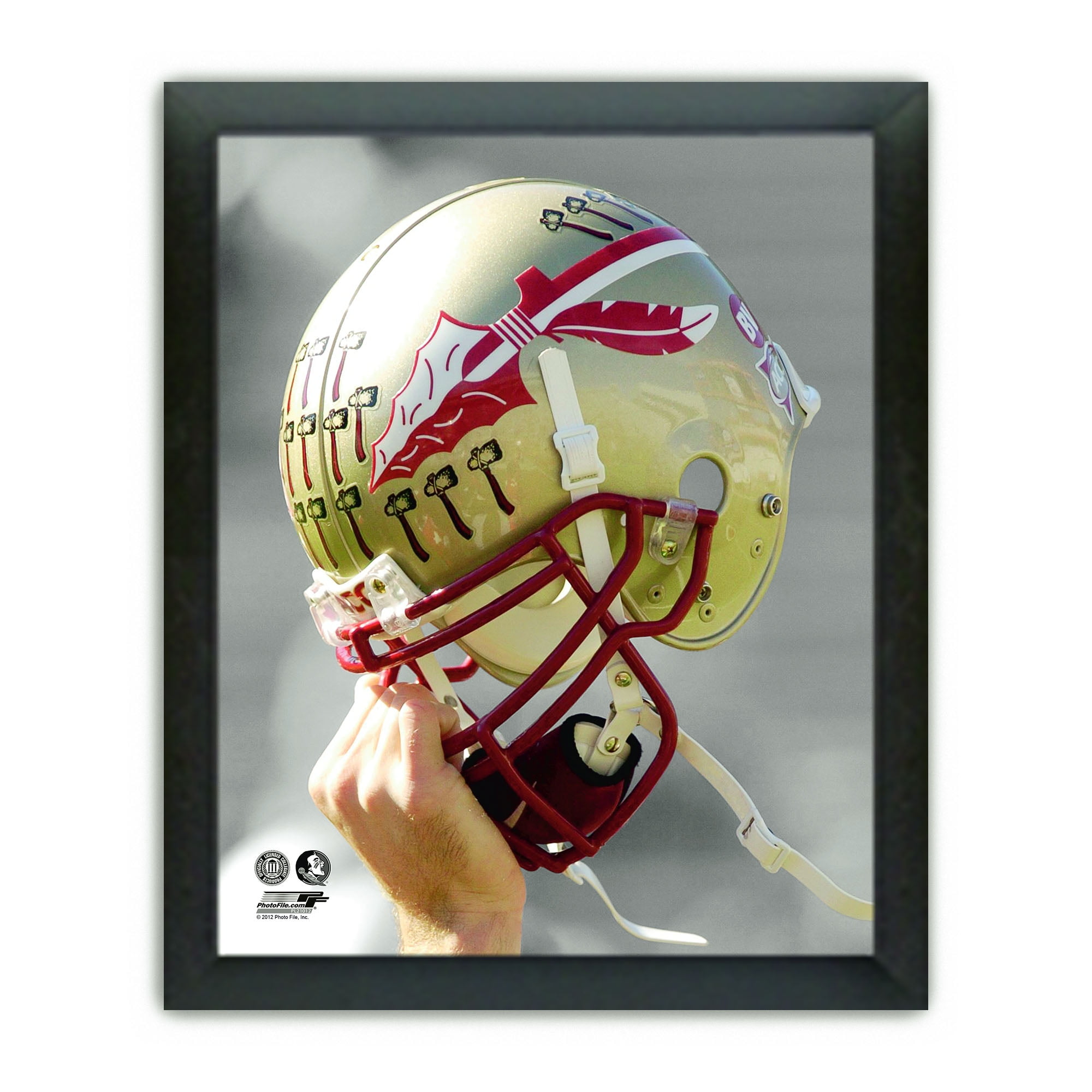 Florida State University Football Helmet