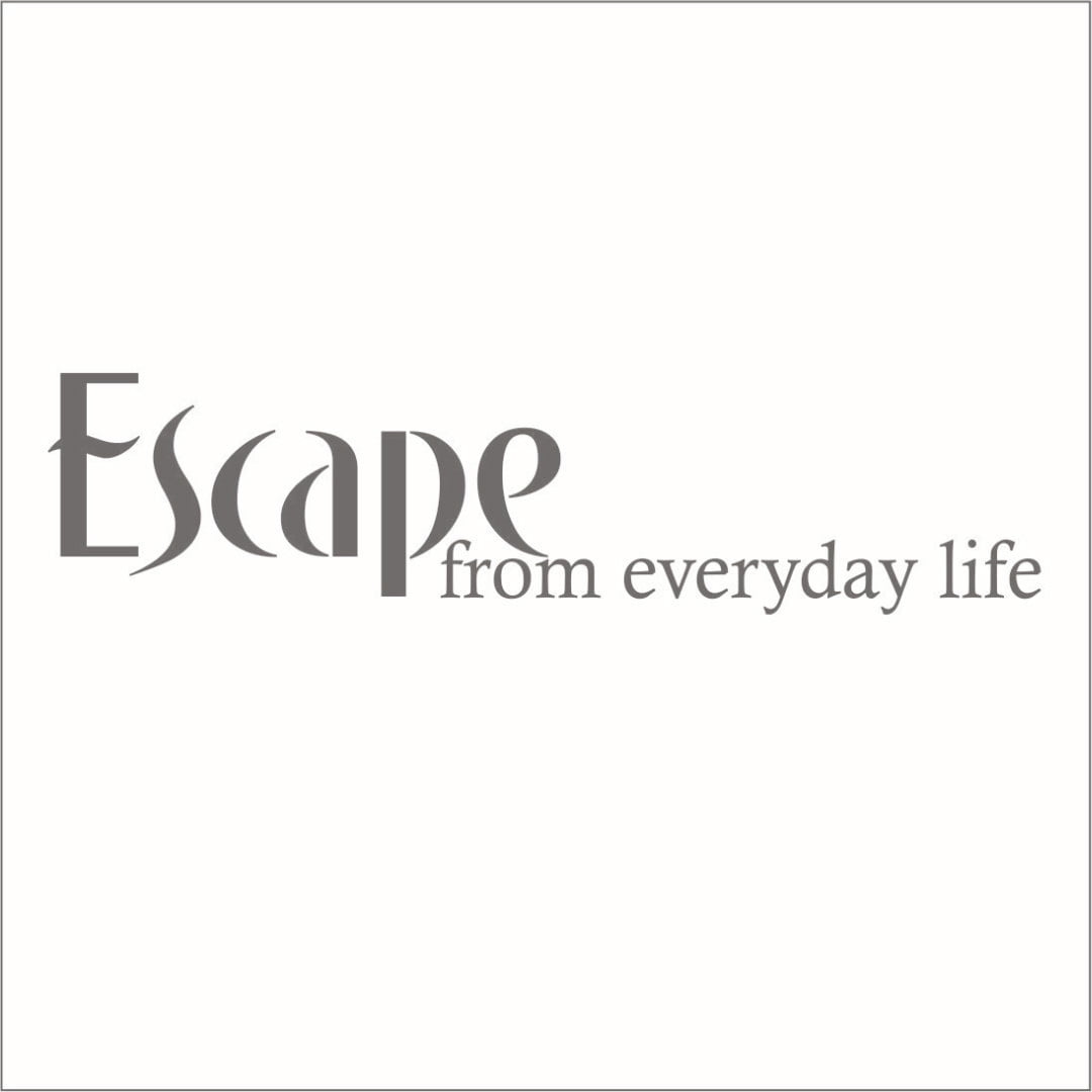 Escape From Everyday Life Vinyl Decal - Large - Clay - Walmart.com