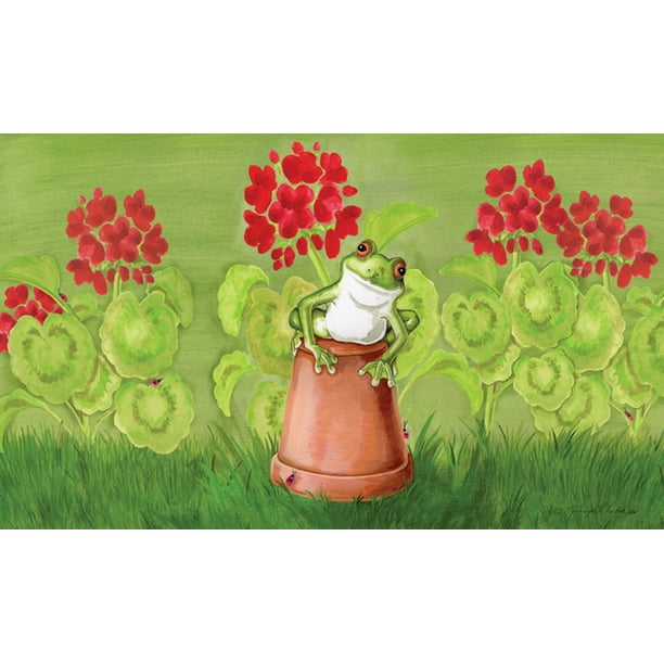 Toland Home Garden Potted Frog Summer Spring Door Mat 18x30 Inch ...