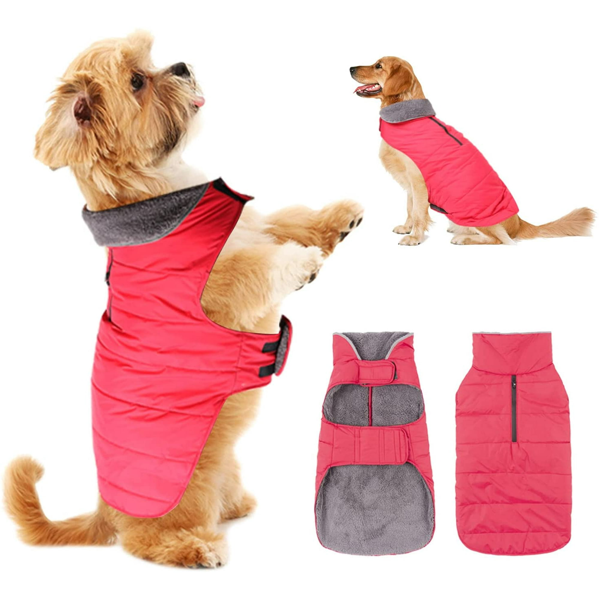 Is Polyester Good For Dogs