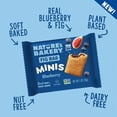 Nature’s Bakery Blueberry Fig Bar Minis, 1 oz, 20 Count - Walmart.com