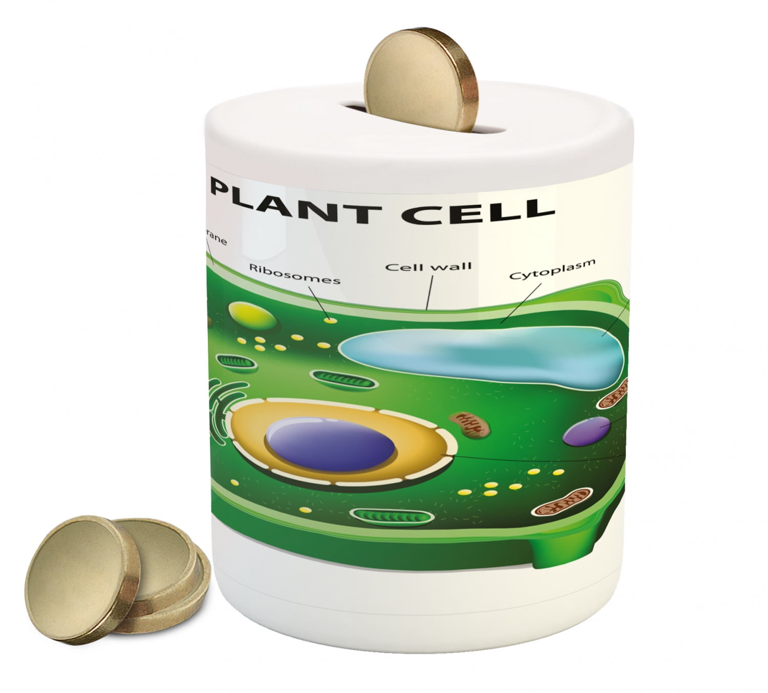 Science Piggy Bank, Plant Cell Biology Research Botany Anatomy ...