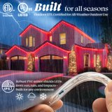 West Ivory 100ft Red LED Rope Lights, Connectable Outdoor Permanent ...