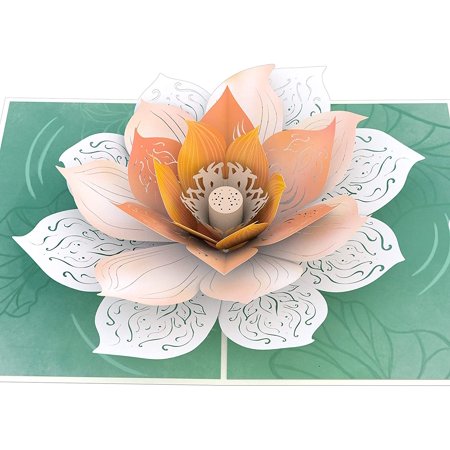 Lovepop Lotus Bloom Pop Up Card, 5x7 - 3D Greeting Card, Pop Up ...