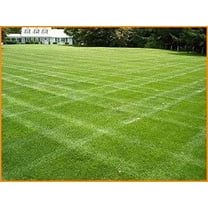 Double Eagle Centipede "Coated"Grass Seed - 1/4 Lb. - Walmart.com