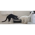 Vibrant Life Large Black Sifting Cat Litter Box with Open Top Plastic ...