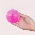 2pcs Scalp Massage Shampoo Brush Set - Gentle Bristles for All Hair ...