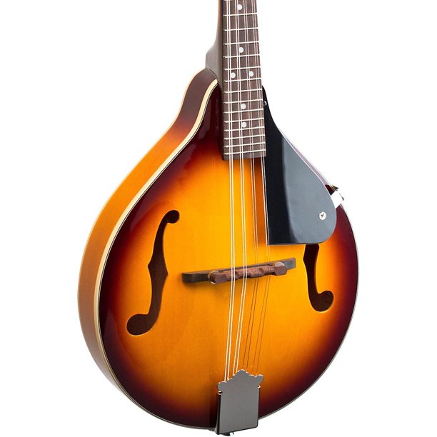 Mandolin Top