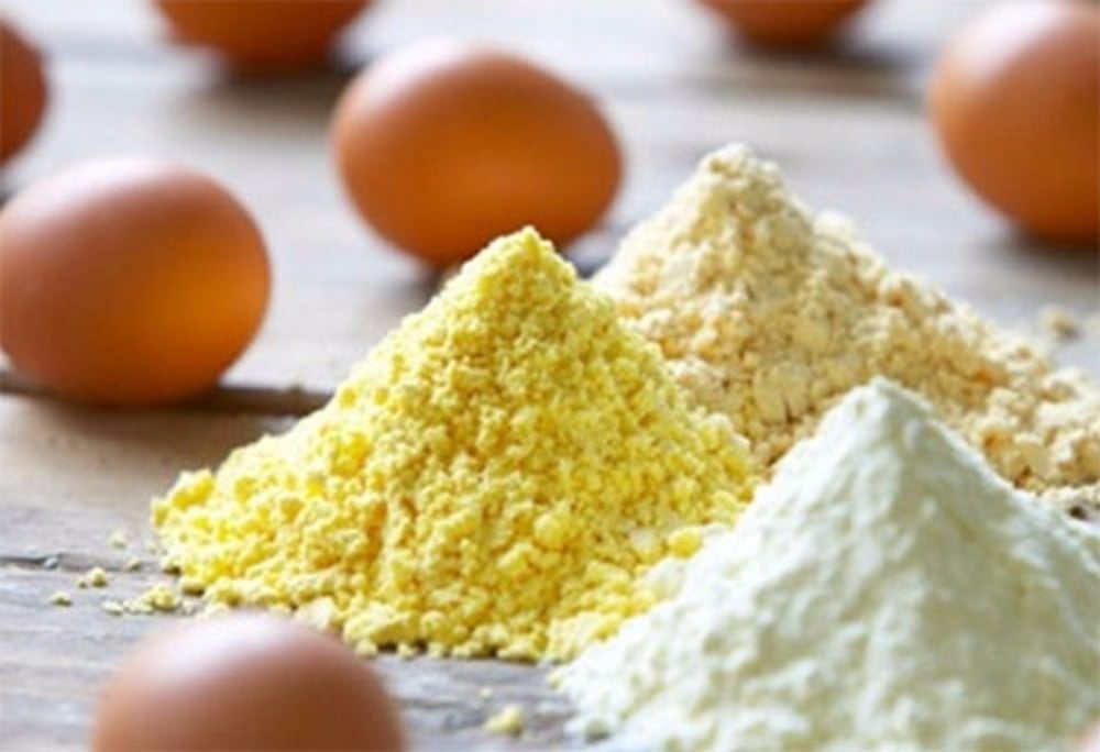 Egg Powder Whole - Walmart.com