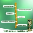 6 Pack Organic Miswak Toothbrushes | All-Natural Wooden Miswak Sticks ...