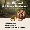 I'M A NUT Raw Brazil Nuts 16 oz Protects Rainforest Sustainably Sourced ...