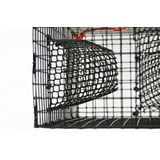 Free Shipping! Promar Traditional Heavy Duty Shrimp Trap - Walmart.com