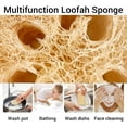 Natural Exfoliating Loofah Sponge - Organic Egyptian Body Back Scrubber ...
